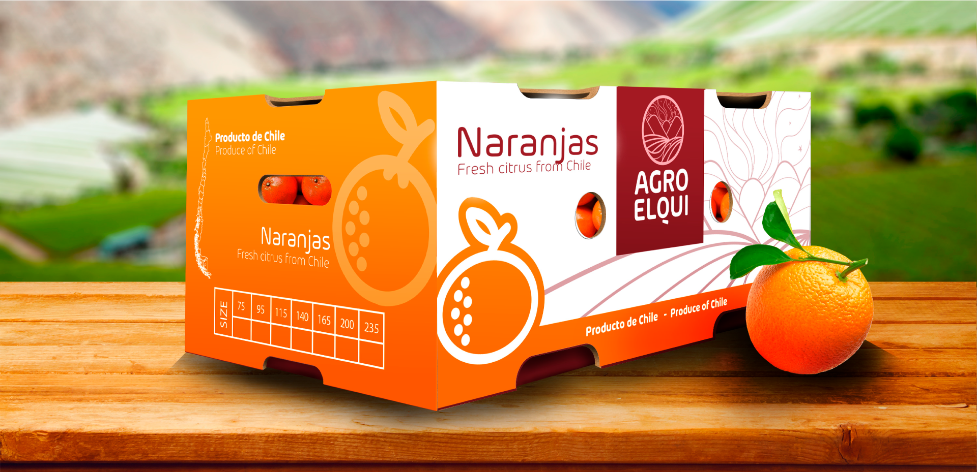Naranjas | Agroelqui